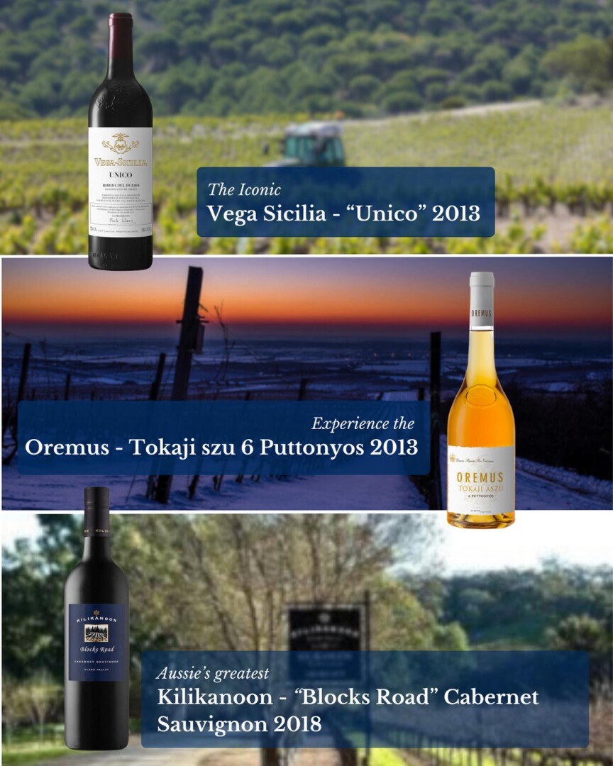 Altaya Wines 年度品鑒會 2024 - WineNow