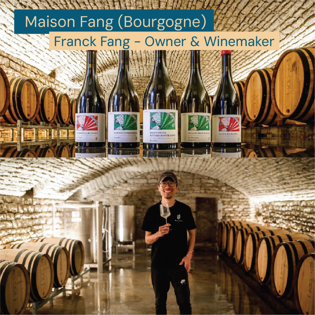 Vinosophy Grand Portfolio Tasting 年度品酒會2024 - WineNow