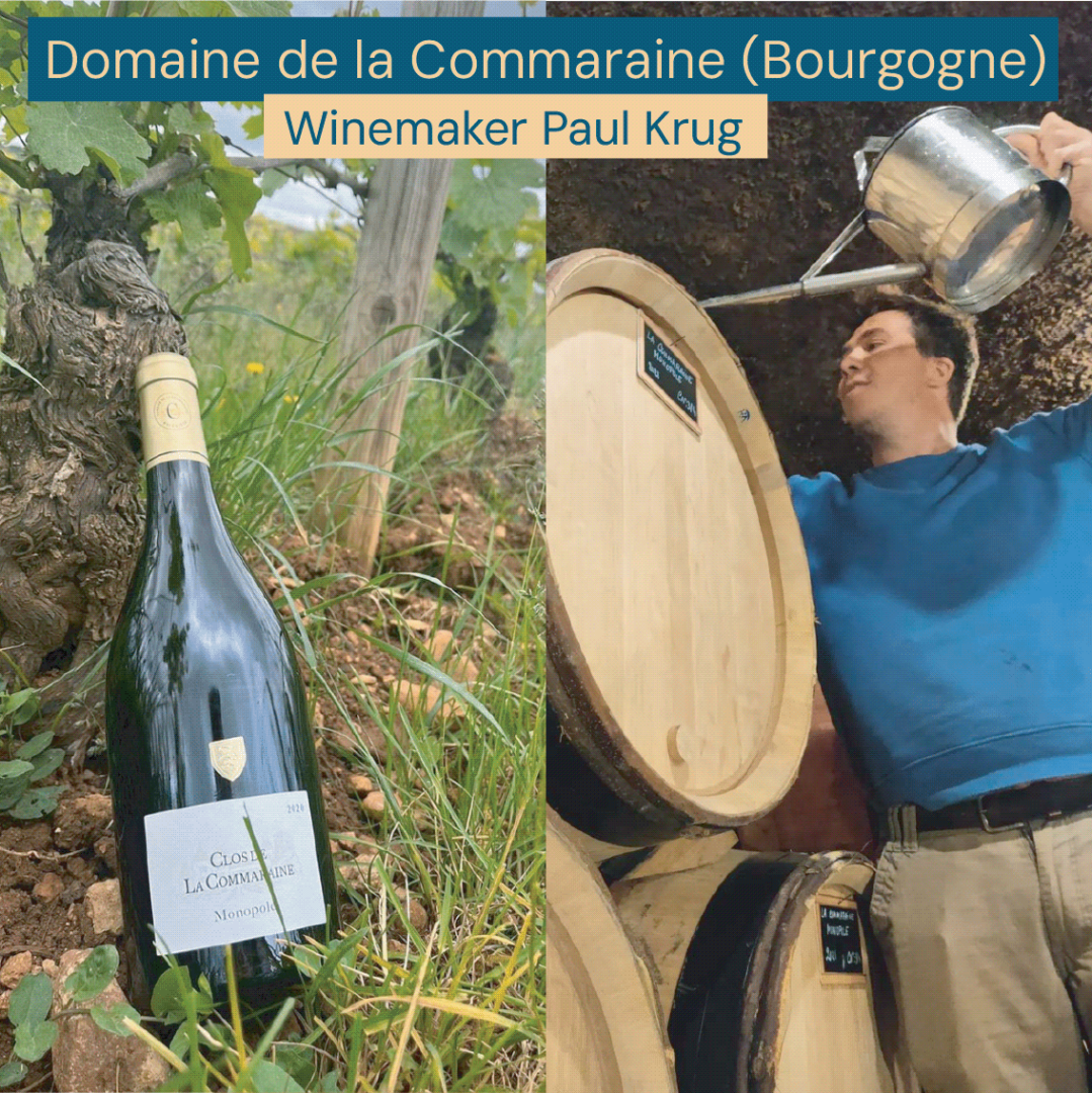 Vinosophy Grand Portfolio Tasting 年度品酒會2024 - WineNow