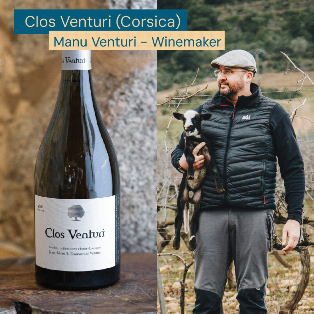 Vinosophy Grand Portfolio Tasting 年度品酒會2024 - WineNow