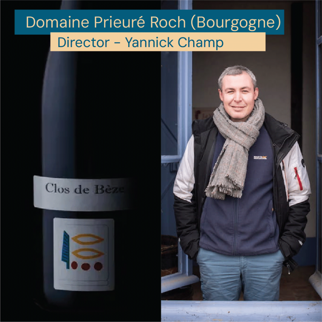 Vinosophy Grand Portfolio Tasting 年度品酒會2024 - WineNow