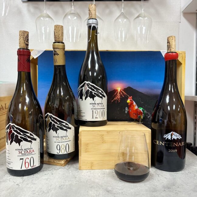 活火山腰好風水 Etna 老樹最迷人—— Stef Yim衣帶漸寬終不悔 - WineNow